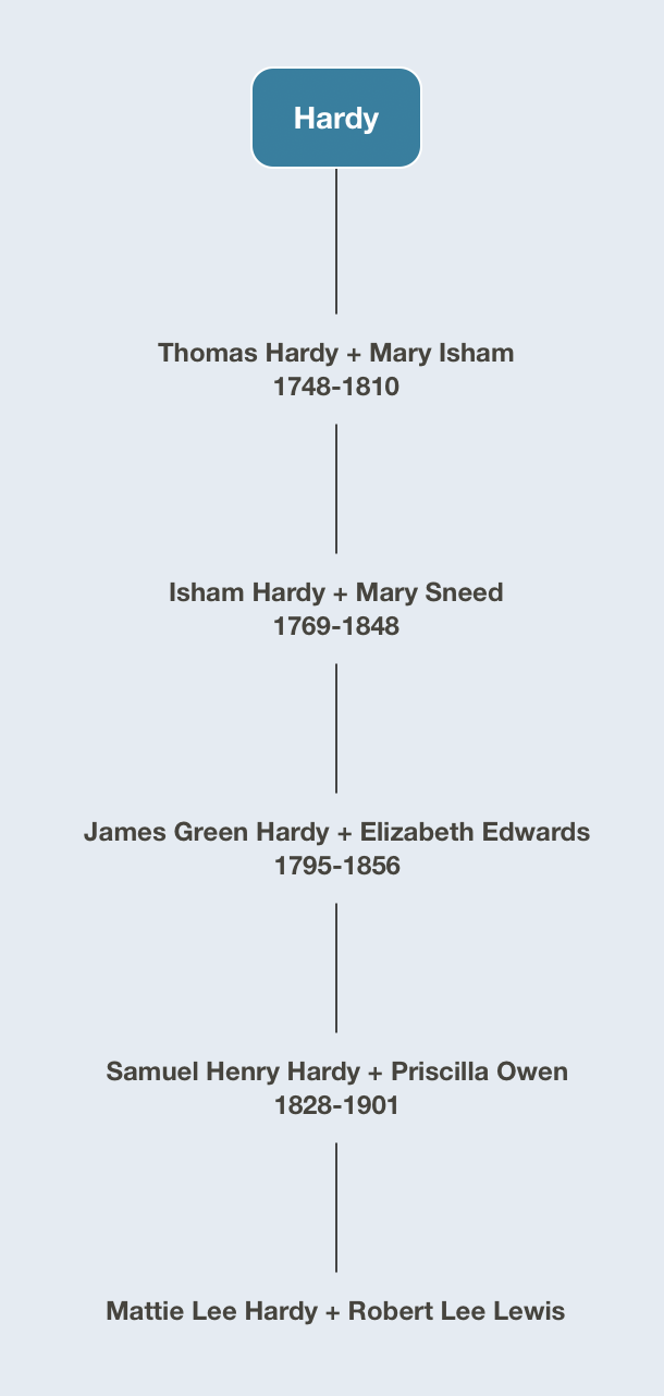Hardy Family Group – Finding the Yellow Bricks